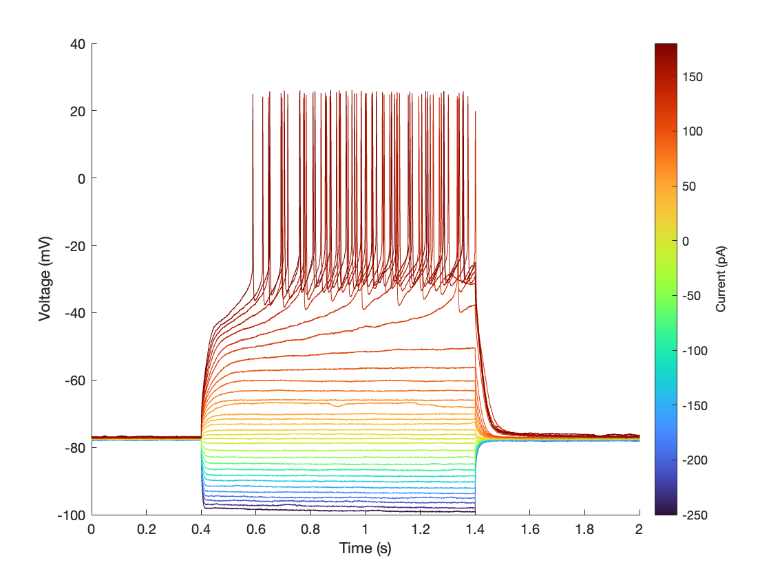 Francesconi_et_al_2025 - NDI-matlab